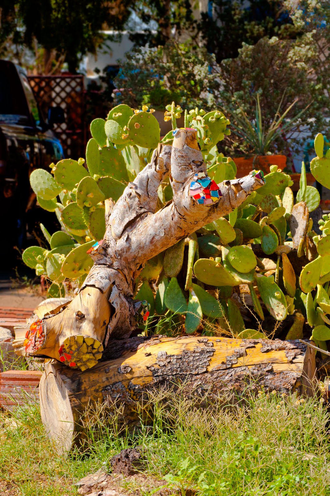 Chacón in Chuco: El Paso Rasquache