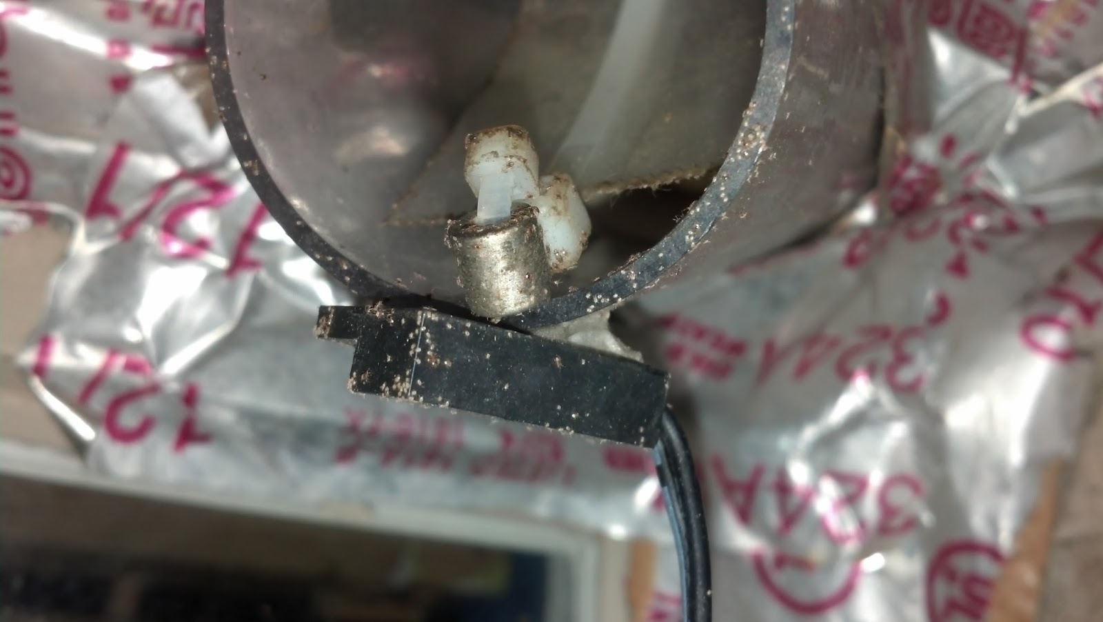 Bat removal in New Orleans: Bat Bugs - New Orleans