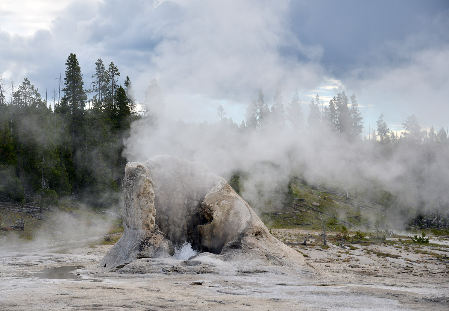 Yellowstone: Upper Geyser Basin - light-in-leaves