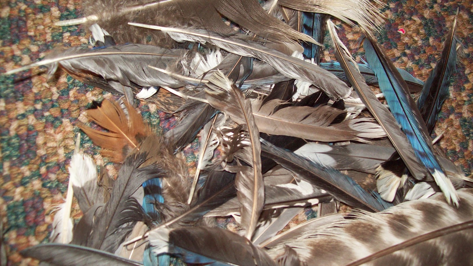 Messy Fingers Five Fun Things To Do With Feathers