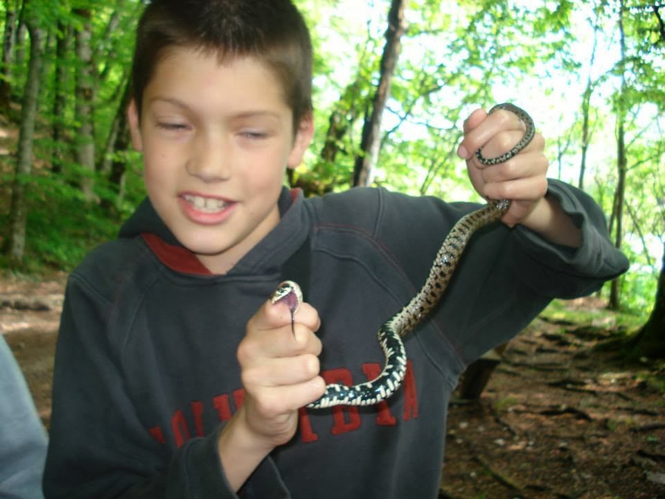 Zivotinje Crne Gore: Album