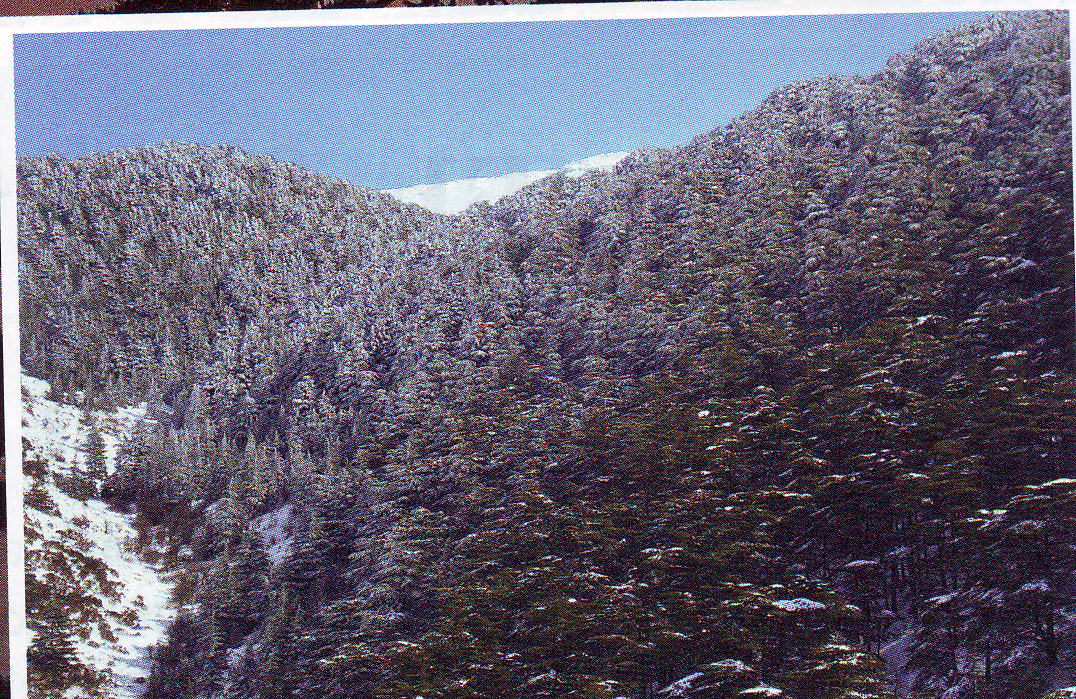 lebanonroad: Touristic Sites