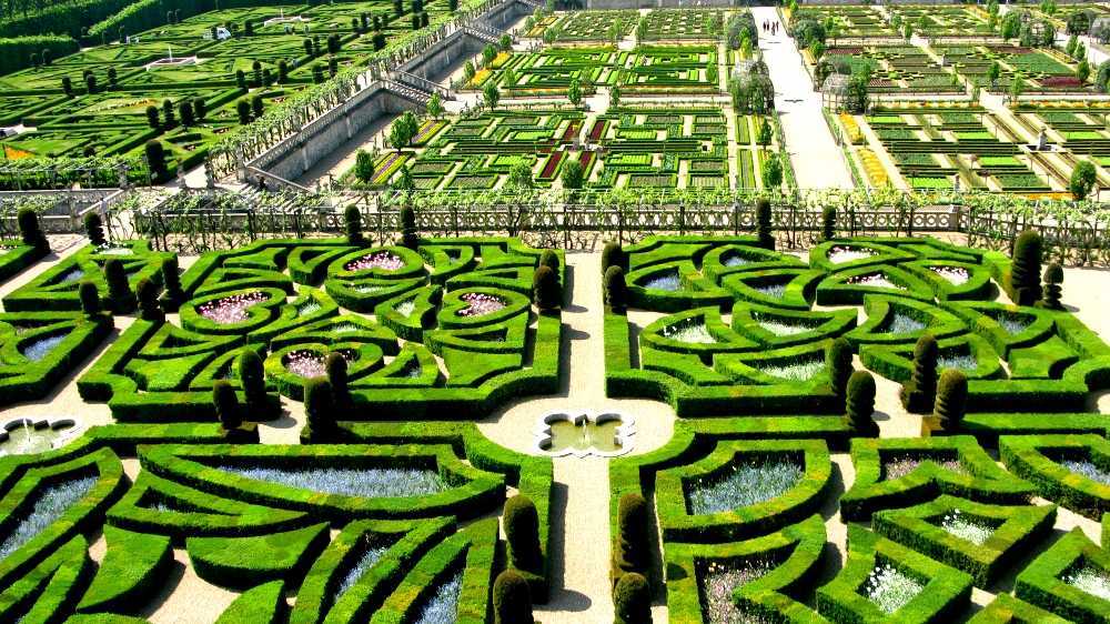 History of landscape architecture