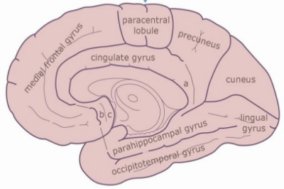 Ten Things That I Learned Today