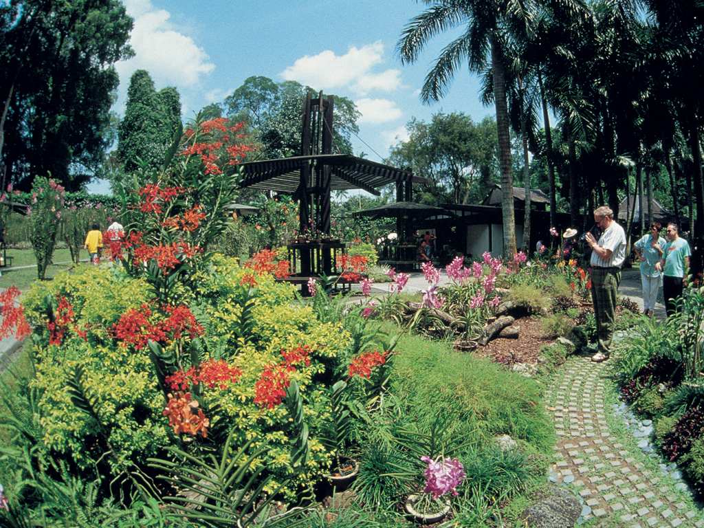 Geo 5 - Equatorial Climates: Equatorial Climates