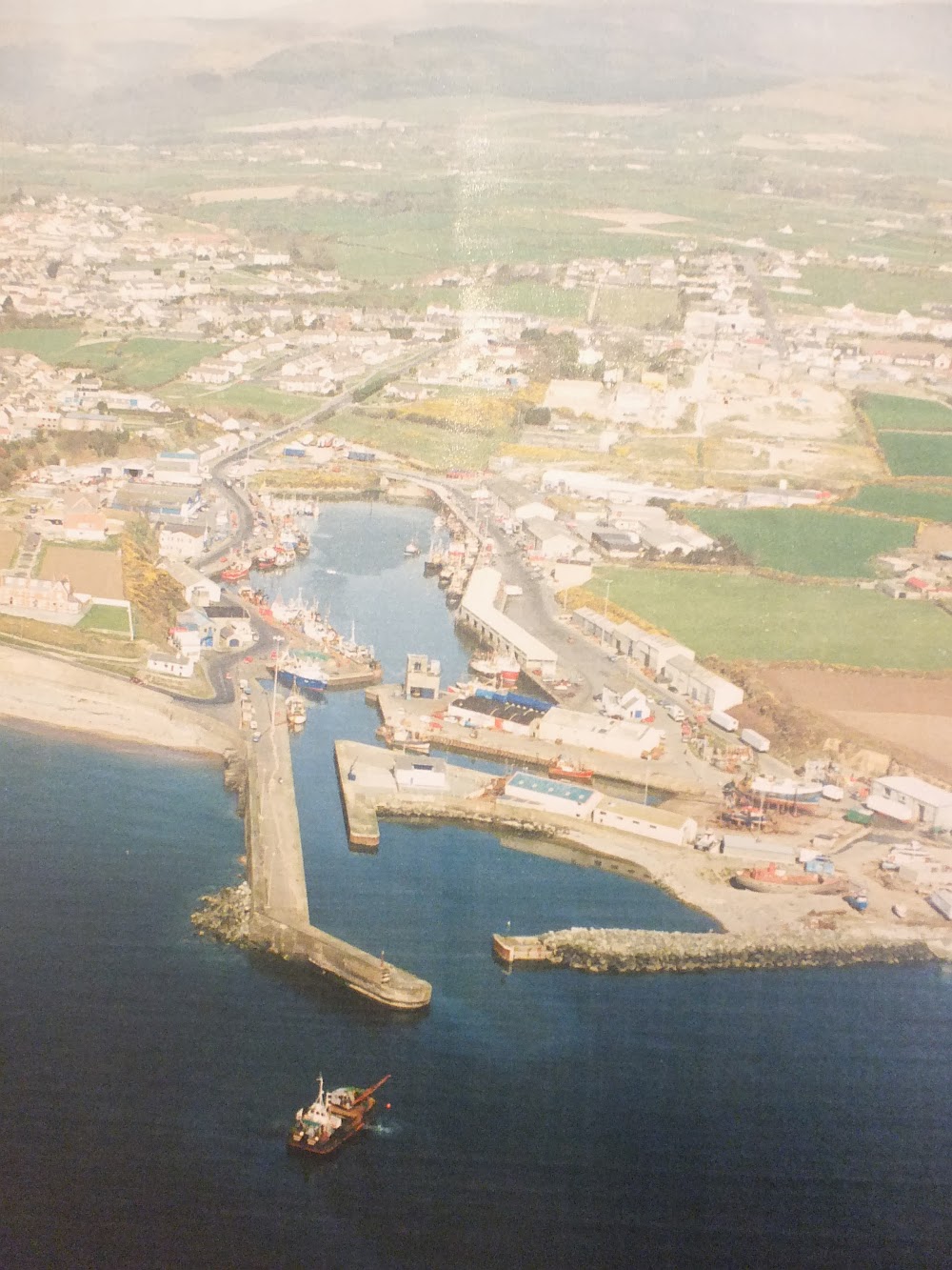 Irish Wildscapes: Around Kilkeel Harbour