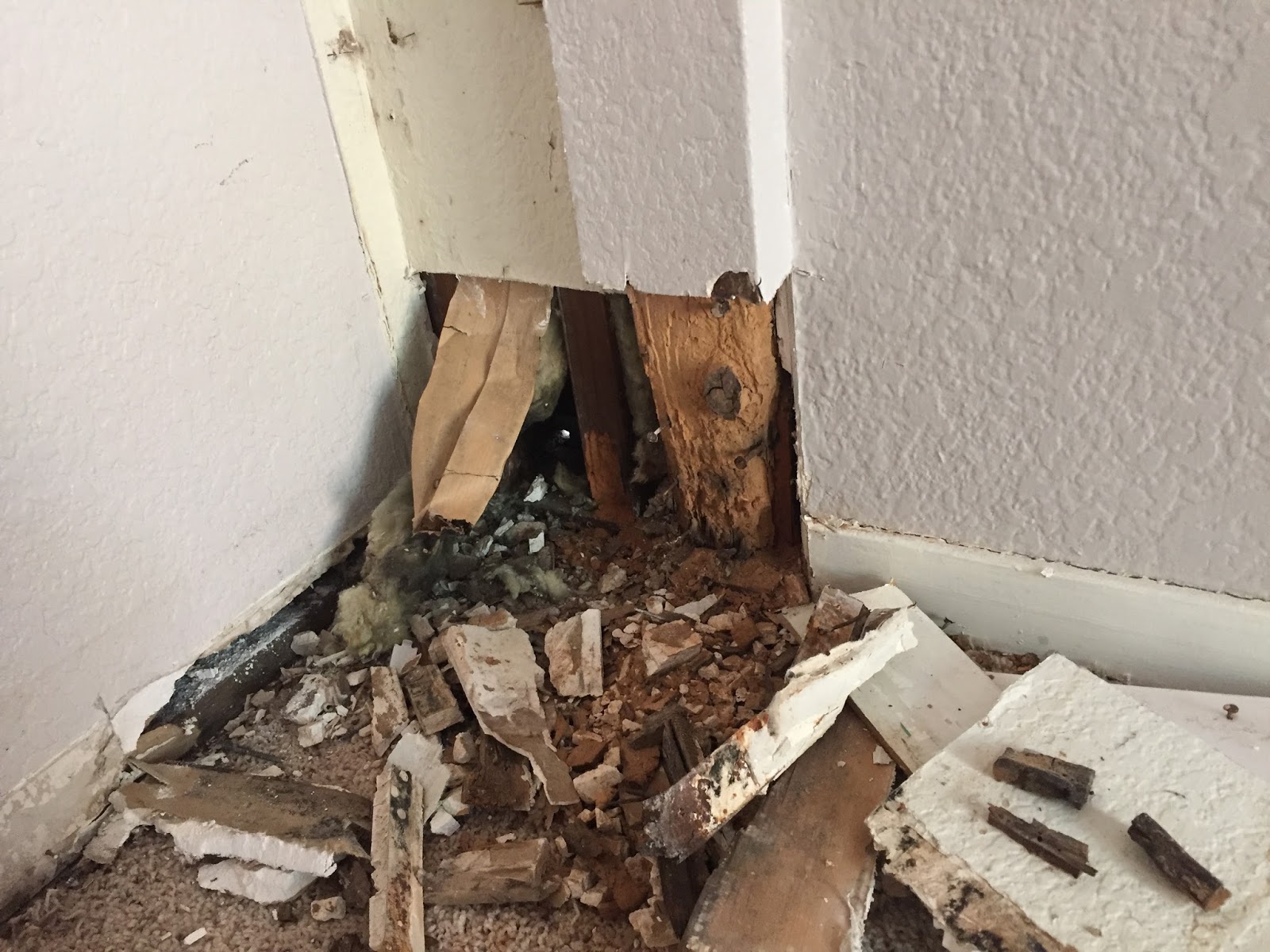 Sacramento Real Estate Blog, by Erin Stumpf: Beware of inaccessible ...