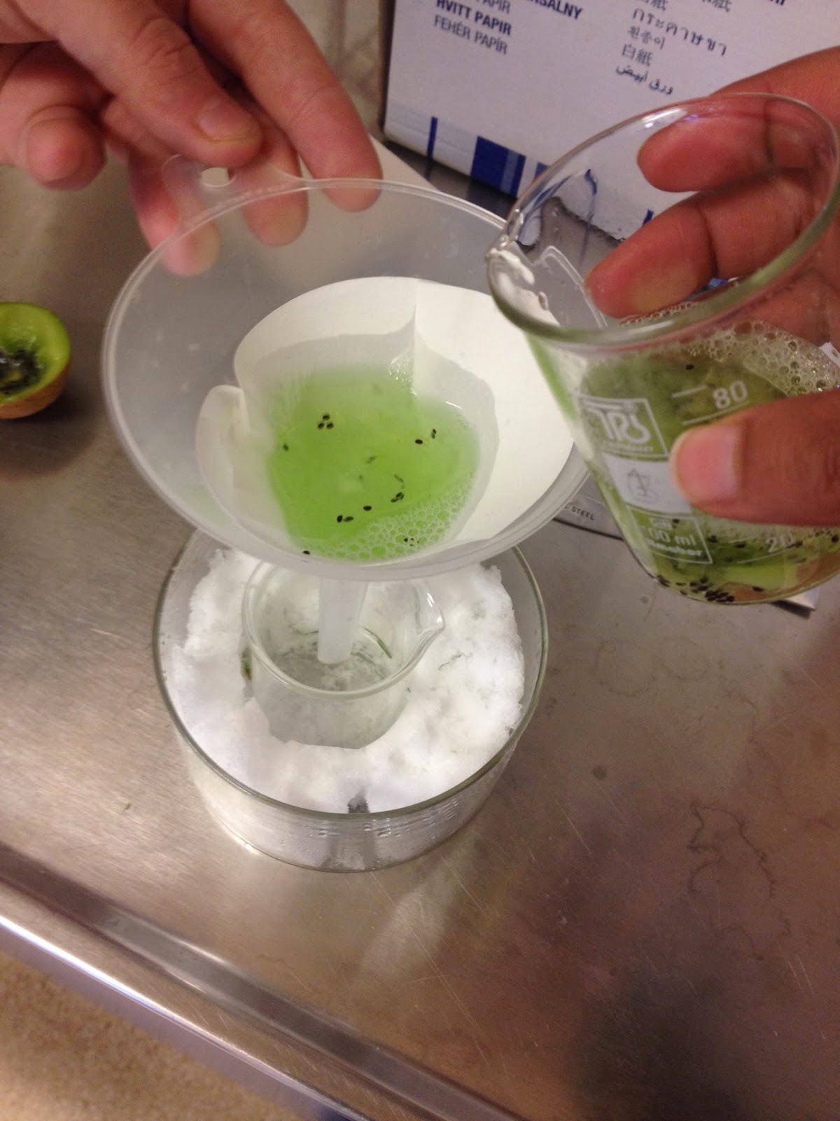 Soda hassan: labbrapport: DNA ur kiwi