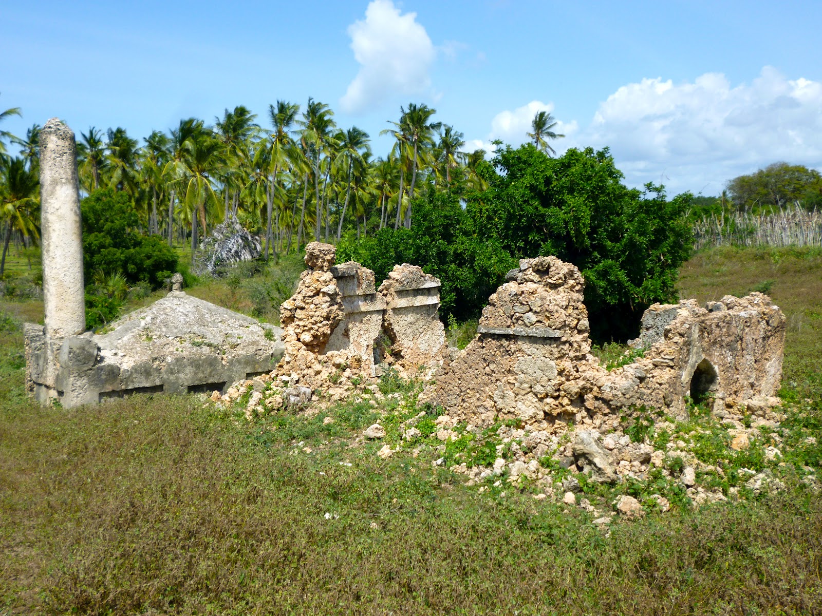 Desi Dixon: Lamu House and Local Ruins at Siyu Fort