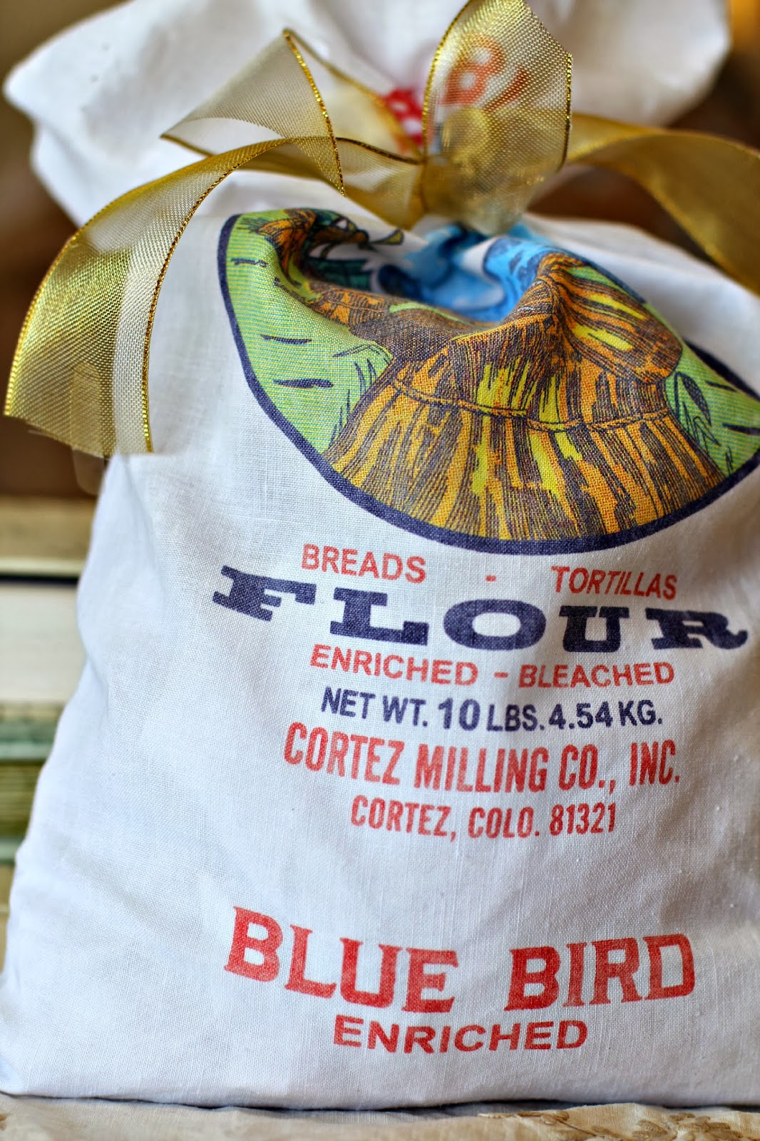 terra's earth: sack cloth and blue birds