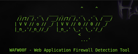 Waffit (wafwoof) - Web Application Firewall Detection Tool | Backtrack ...