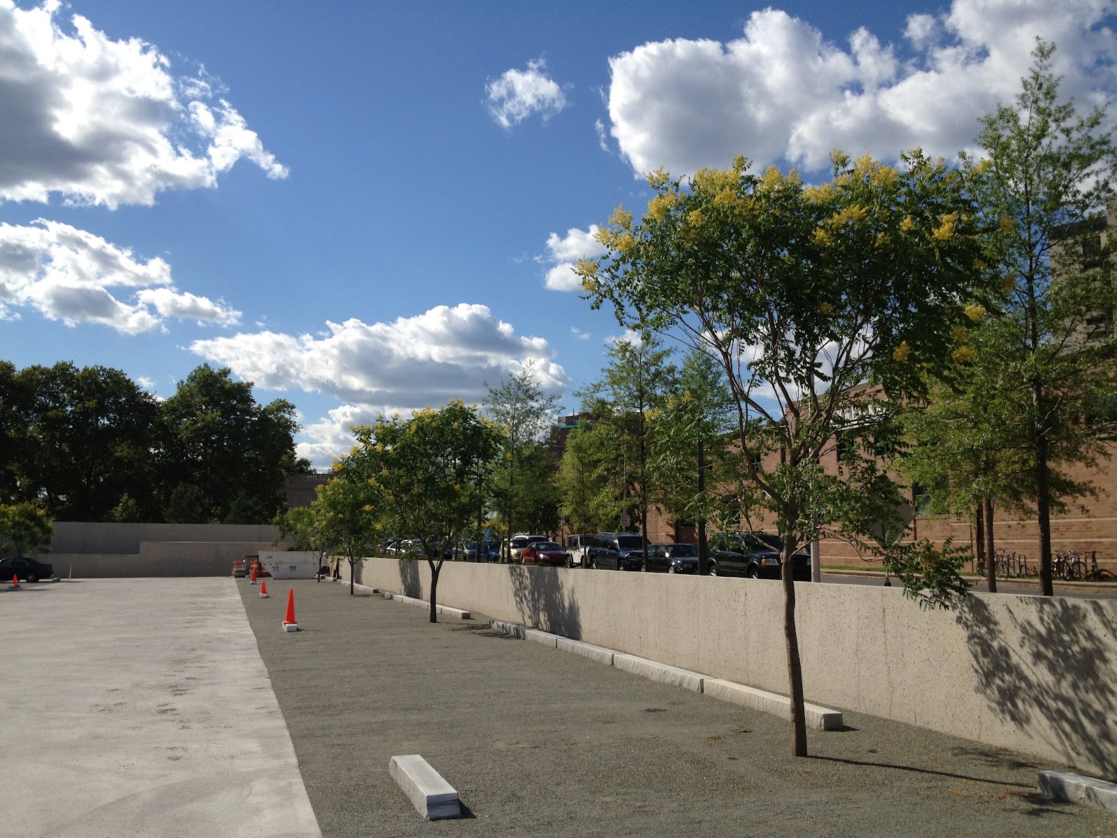 PHILLY TREES: QUICK PICKS: THREE TREES