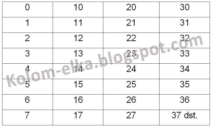 Kolom Elektronika: Sistem Bilangan