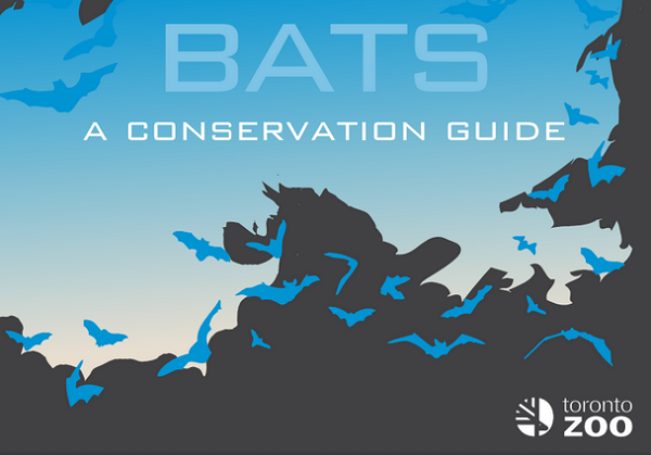 Bats a conservation guide toronto zoo
