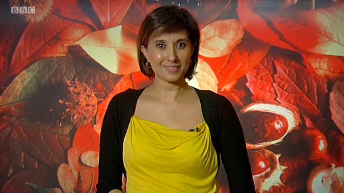 Uk Regional News Caps Shefali Oza Bbc Midlands Today Weather