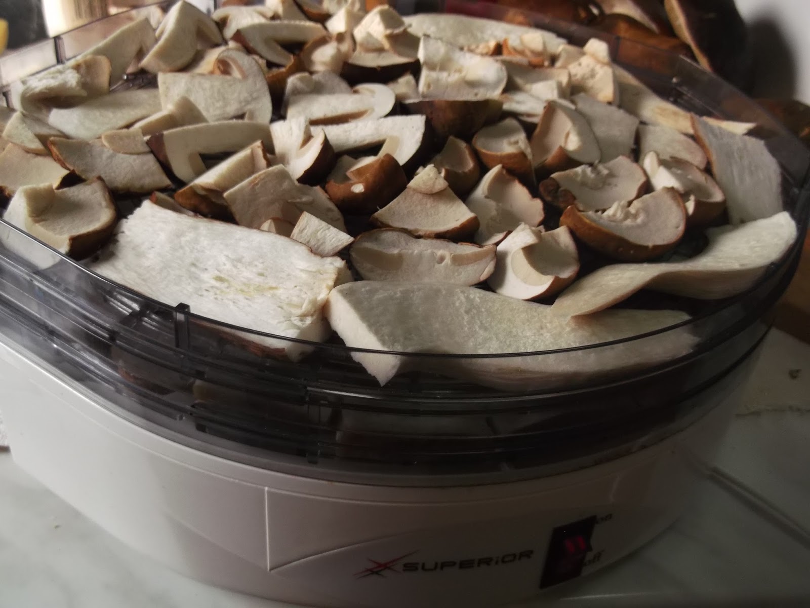 Hellena ...din bucataria mea...: Manatarci (hribi sau pitonci) uscate