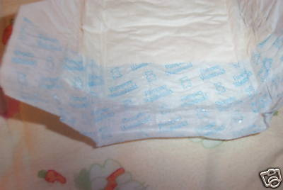 The Diaper Service: Plan A The Waste-to-energy plant (Continued-1)