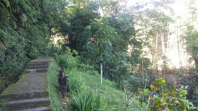 Angseri Hot Spring Tabanan Yo Relaksasi Berendam di Air Panas Alami ...