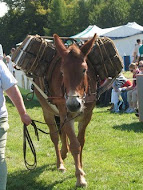 The British Mule Society