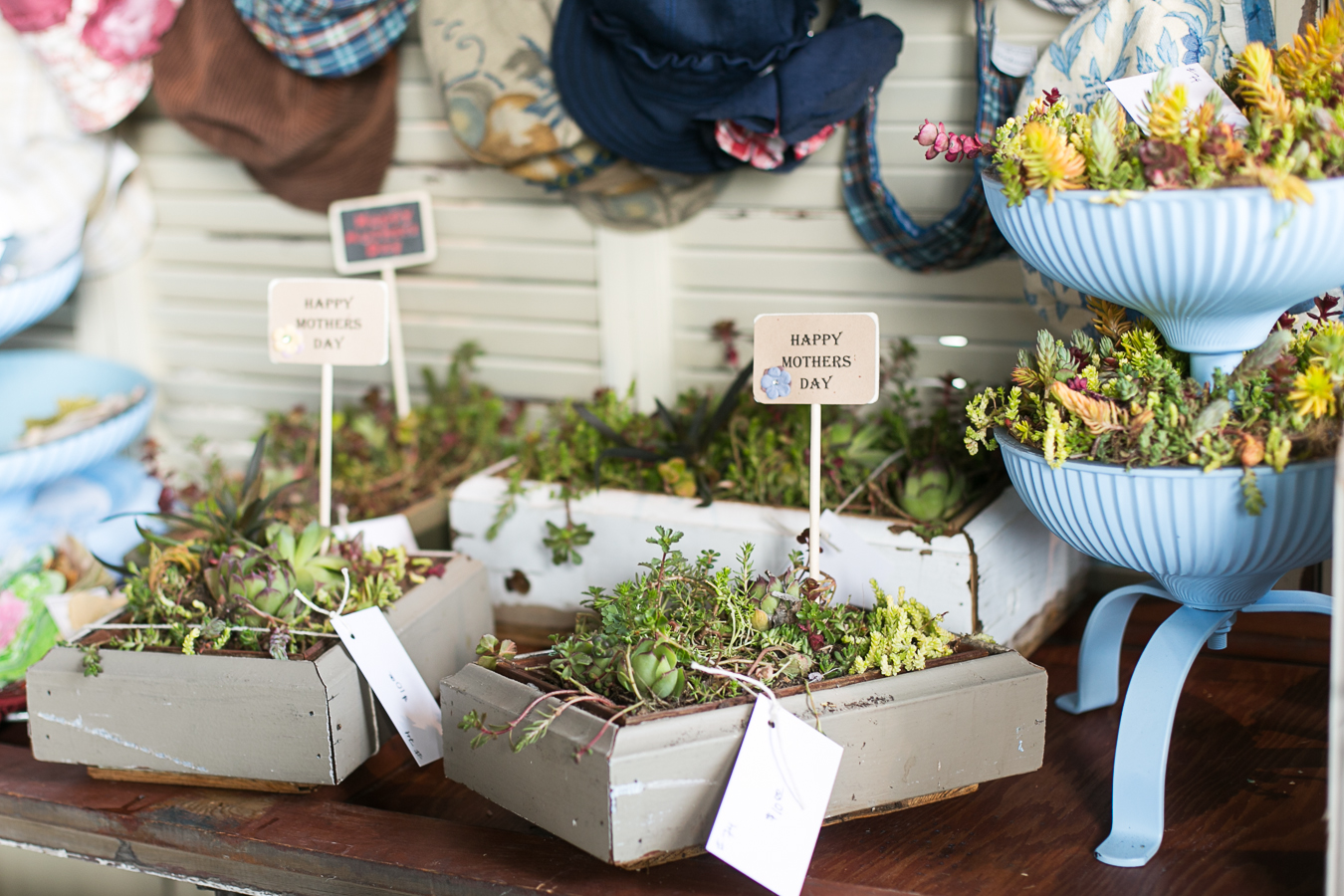 Oh Sweet Sadie!: Spring Show 2013