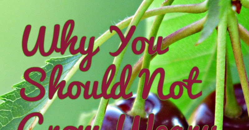 Christian Stress Management: Why You Should Not Grow Weary Doing Good