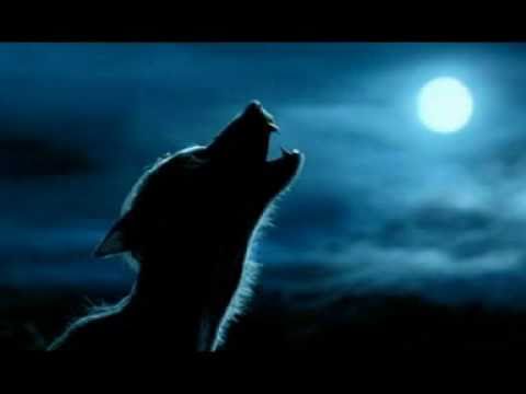 El Lobizón | La Cueva Del Fauno