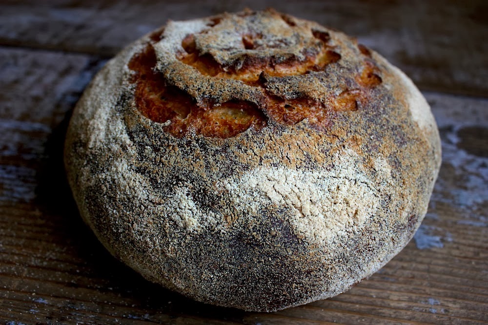 Tartine Bread Experiment: Sidebar Sunday: Michette