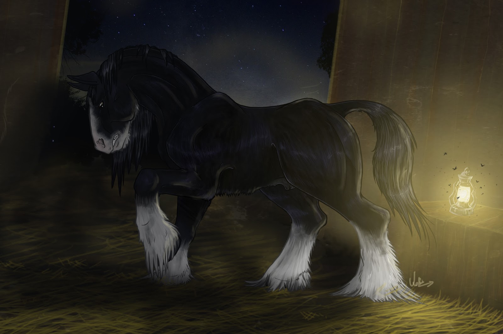 NUA Blog: Angus (Research) and sketches