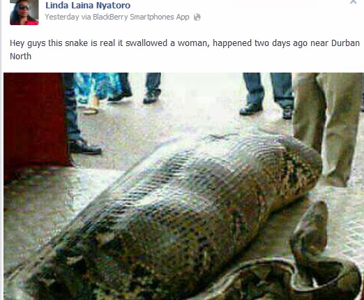 Ladies Spot Light, Every Woman Is A Star: SHOCKER!! Snake Swallowed a ...