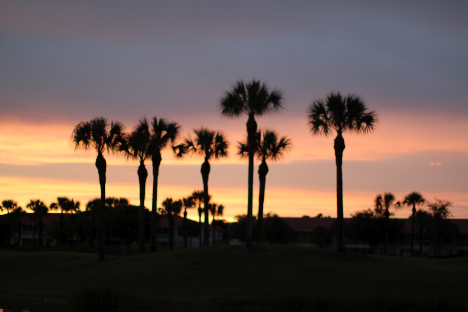 Feierwon: Cargolux: Richard Forson forçant la cadence