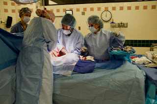 Amy Polley: running, life, love, Jesus