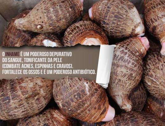 Inhame - Conheça os benefícios deste superalimento milenar - Aliados da ...