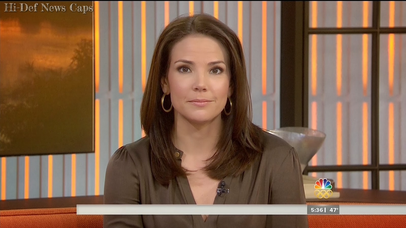 Ladies in Satin Blouses: Erica Hill - brown satin blouse