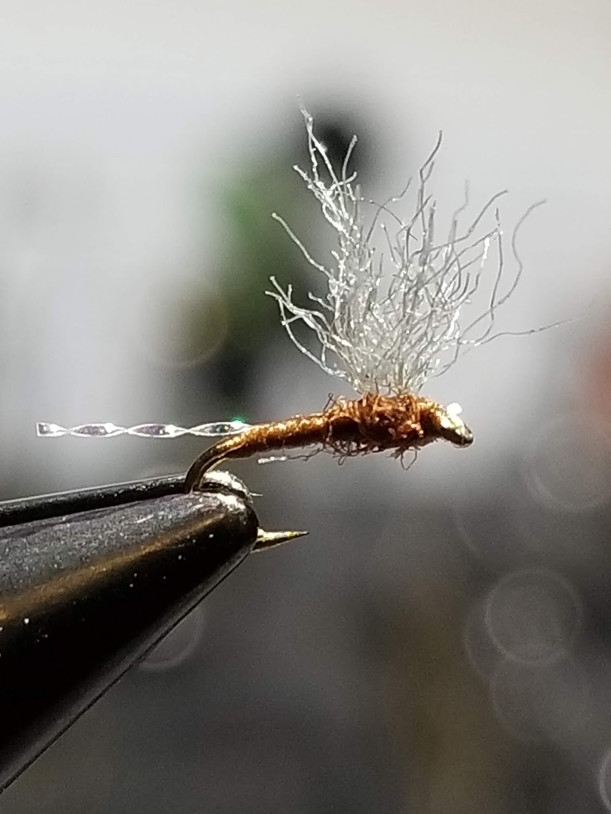 Welcome to the Millers River Fly Fishing Forum : Needhami, Starling And ...