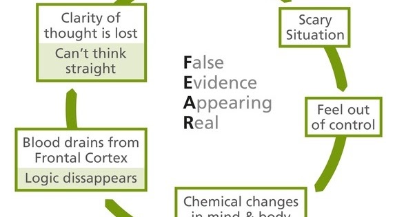 The universe is eternal, infinite and vibrant, a conscious cosmos ...