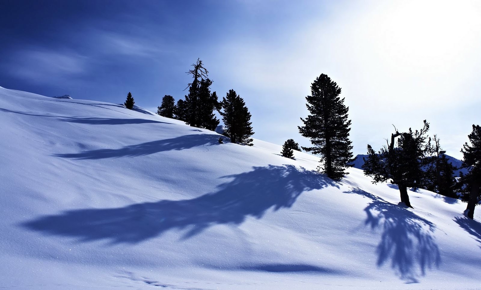 Ilmaisia kuvituskuvia: Talvimaisema