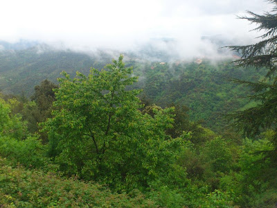 Die Kabylei: Die Impressionen