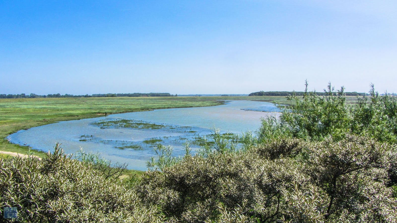 Mes escapades........: Le Zwin