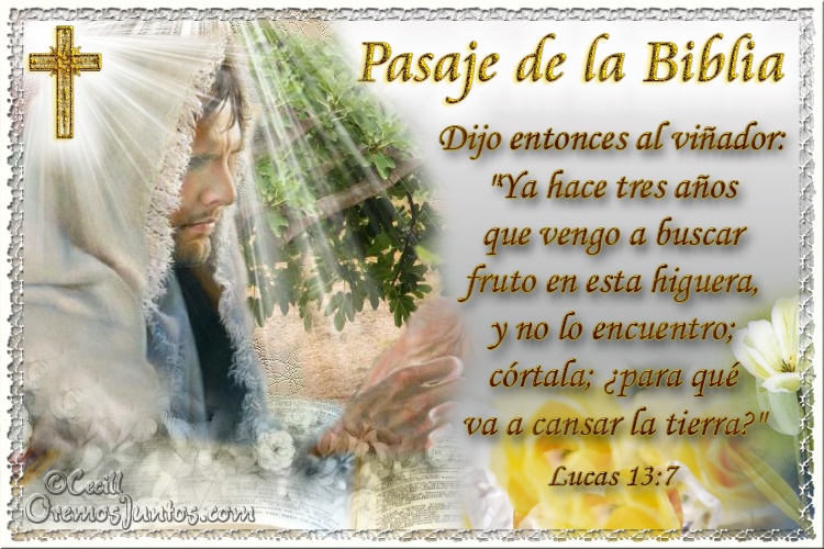 Vidas Santas: Santo Evangelio según san Lucas 13:7