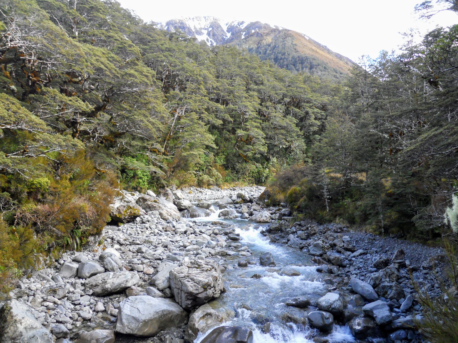 Arthurs Pass Adventures: Tramping in Arthurs Pass National Park: Short ...