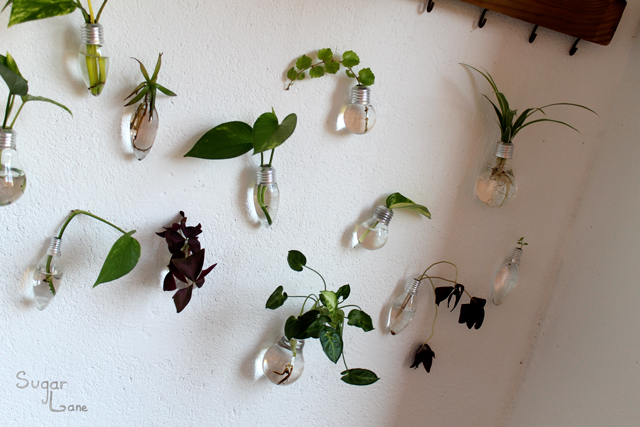 DIY Decor: Lightbulbs Vertical Garden - SUGAR LANE
