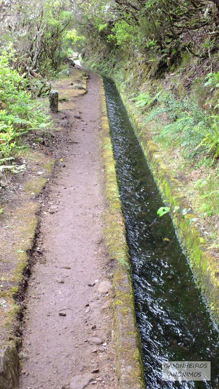 Caminheiros Anónimos Levadas da Madeira : Levada Grande do Paul (Calheta)