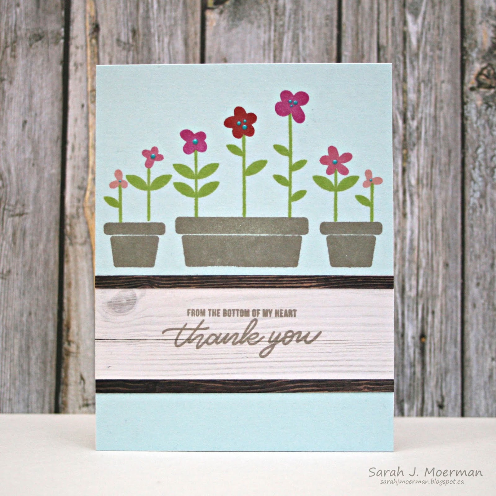My Impressions: SSS April Card Kit: Thank You Flowers