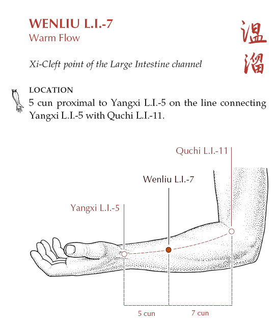 Acupuncture Masters: Acupuncture Points Database - Large Intestine channel