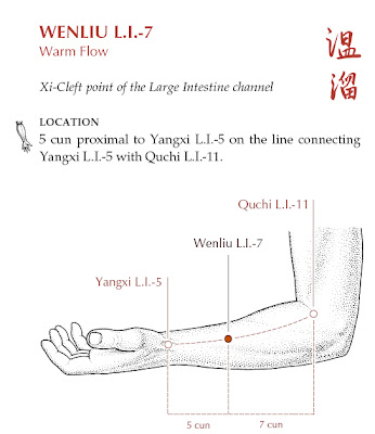Acupuncture Masters: Acupuncture Points Database - Large Intestine channel
