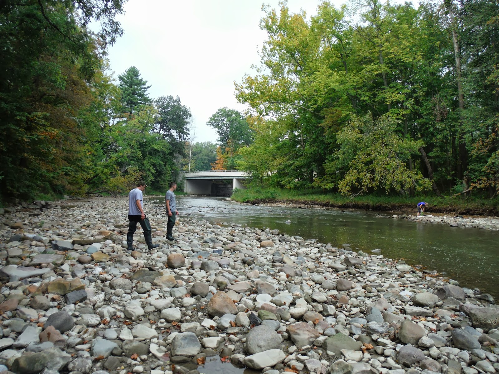 JCU Aquatic Resources : Chagrin River Aquatic Invertebrate Collection