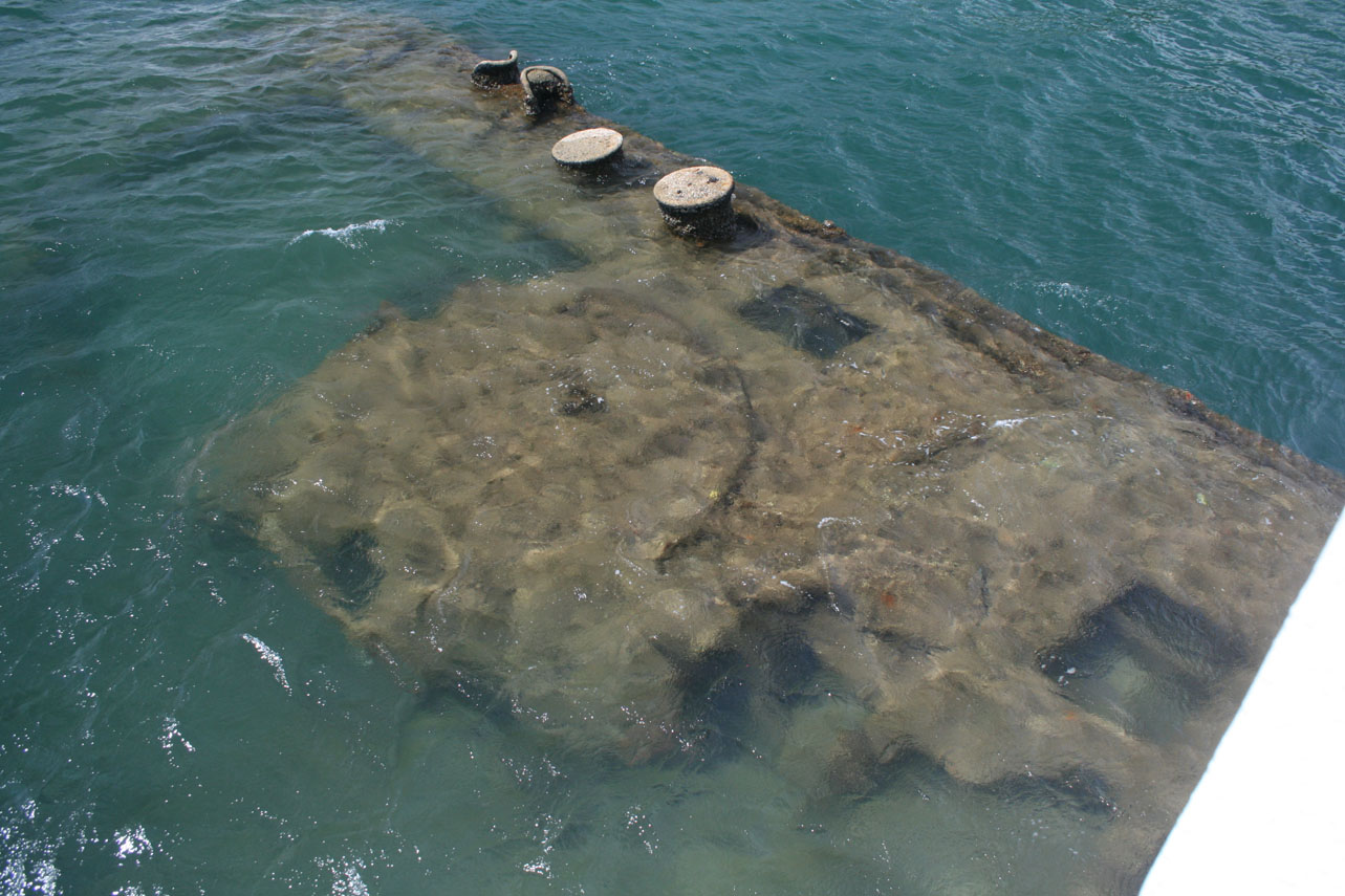 Researcher@Large: February 21st Visit to USS Arizona