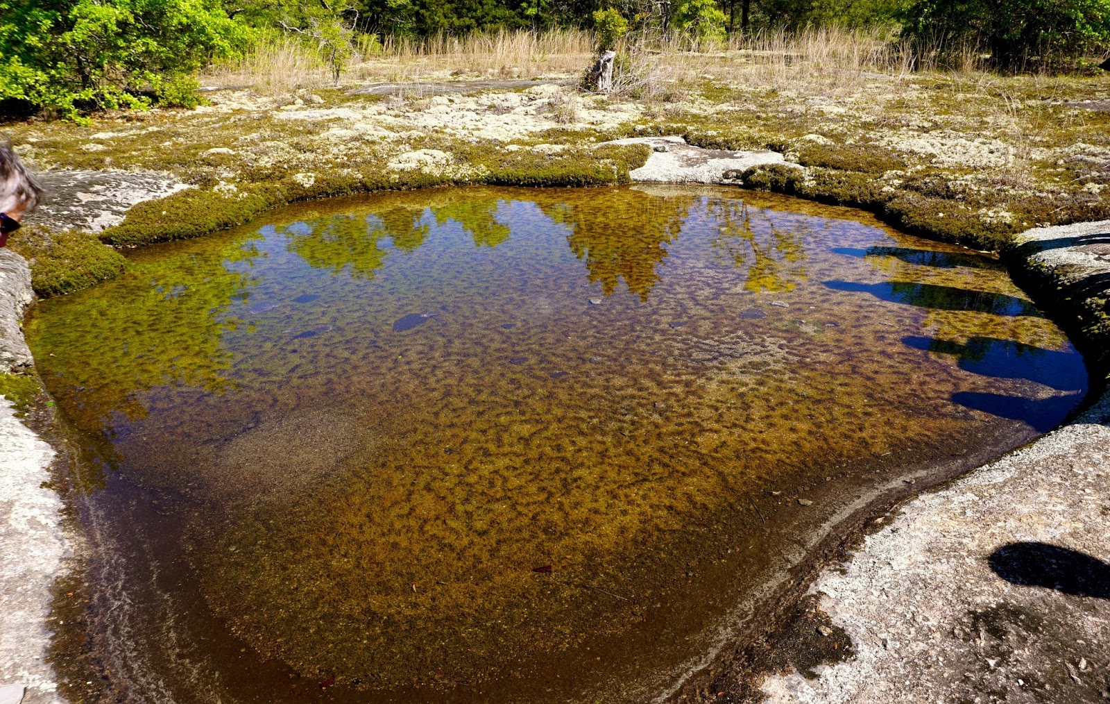 Butterstone : Heggie's Rock