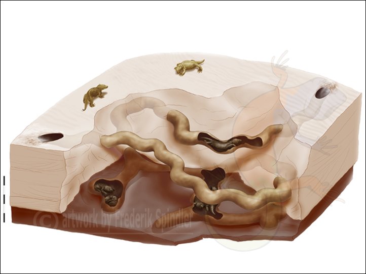 AGATHAUMAS: Bioturbazioni (Lidenbrock Sea 04)