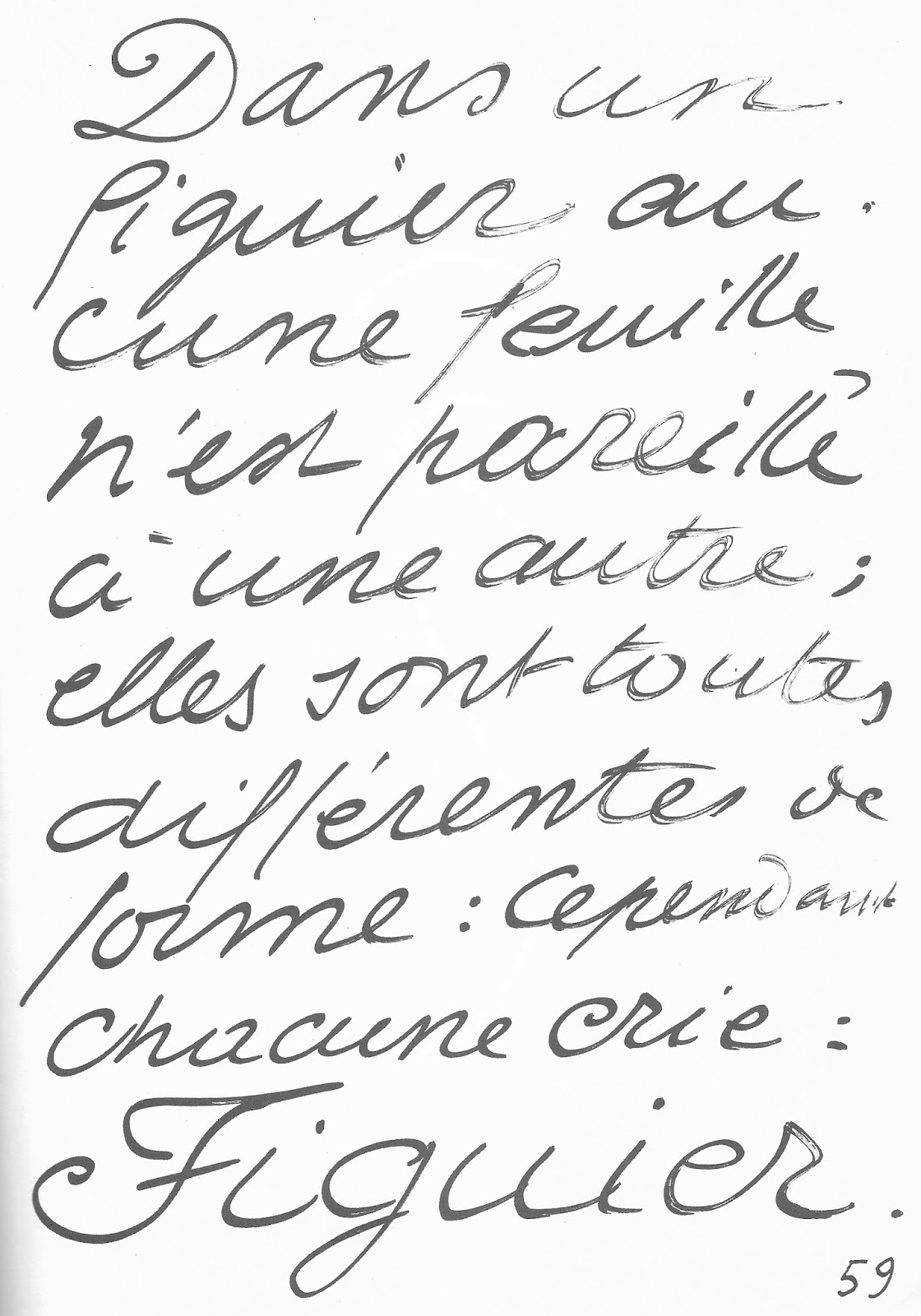 Essays: Matisse, Picasso and Greek Mythology